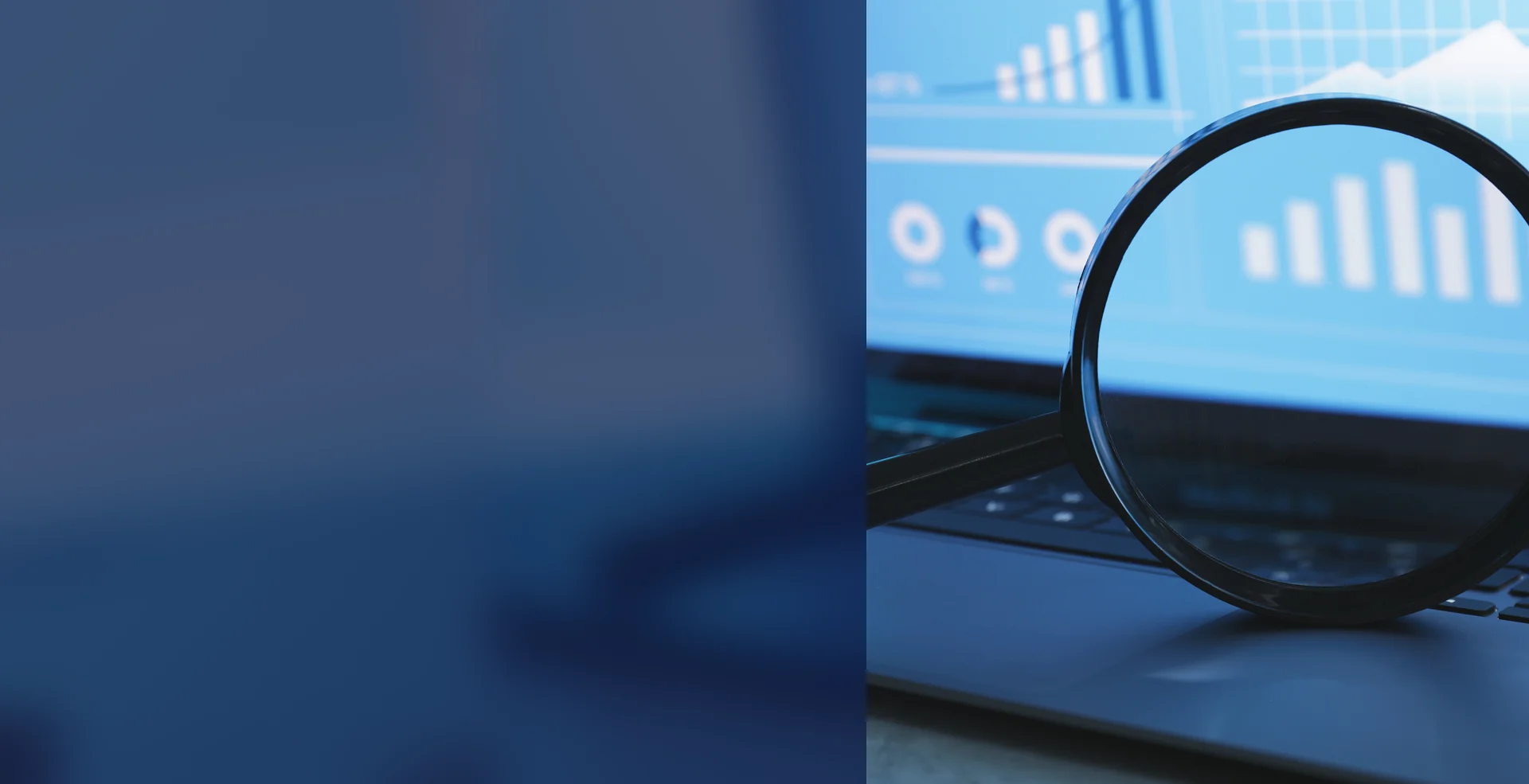 Edgy Labs | Search Engine Optimization